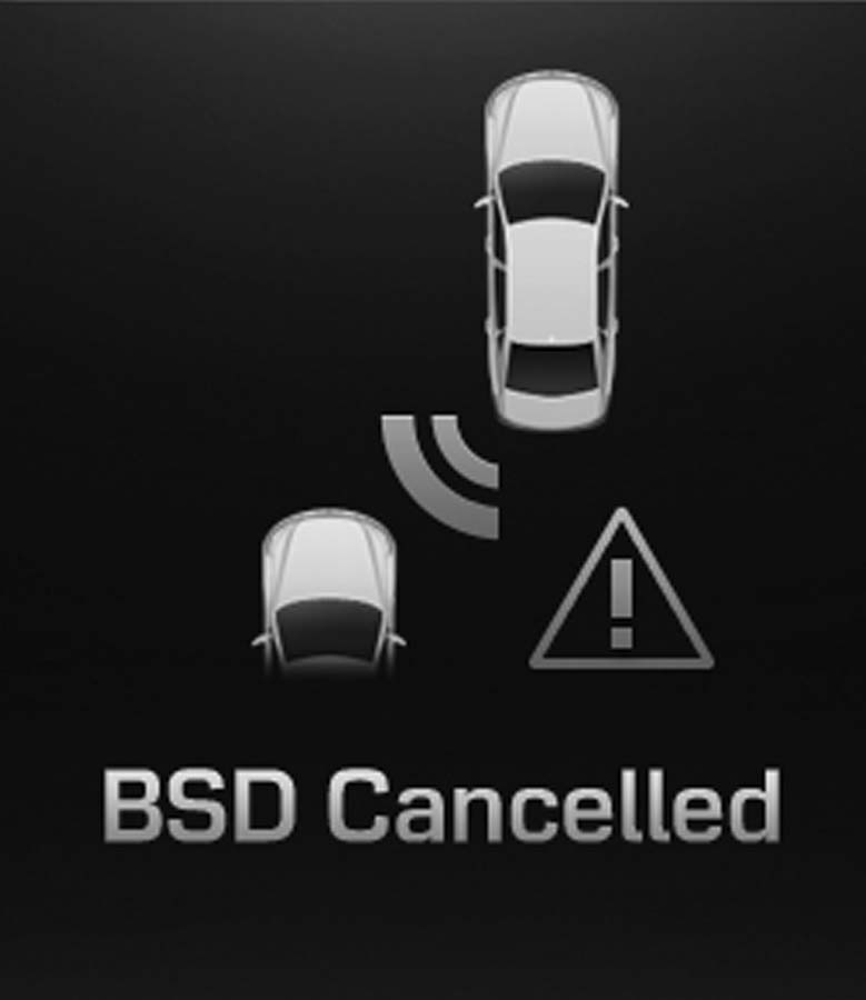 Hyundai Equus: Warning message - Blind spot detection system (BSD) (If ...